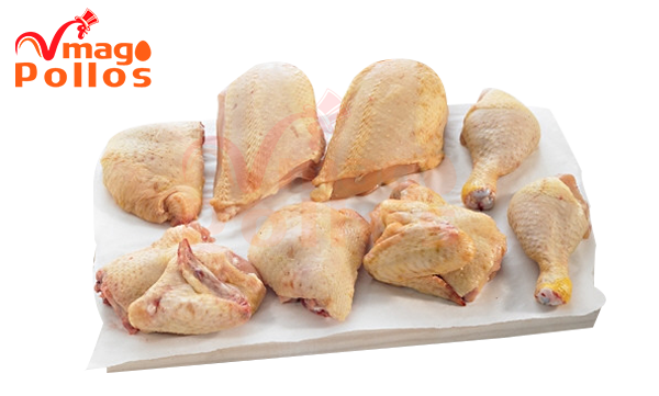Quienes Somos – Magopollos